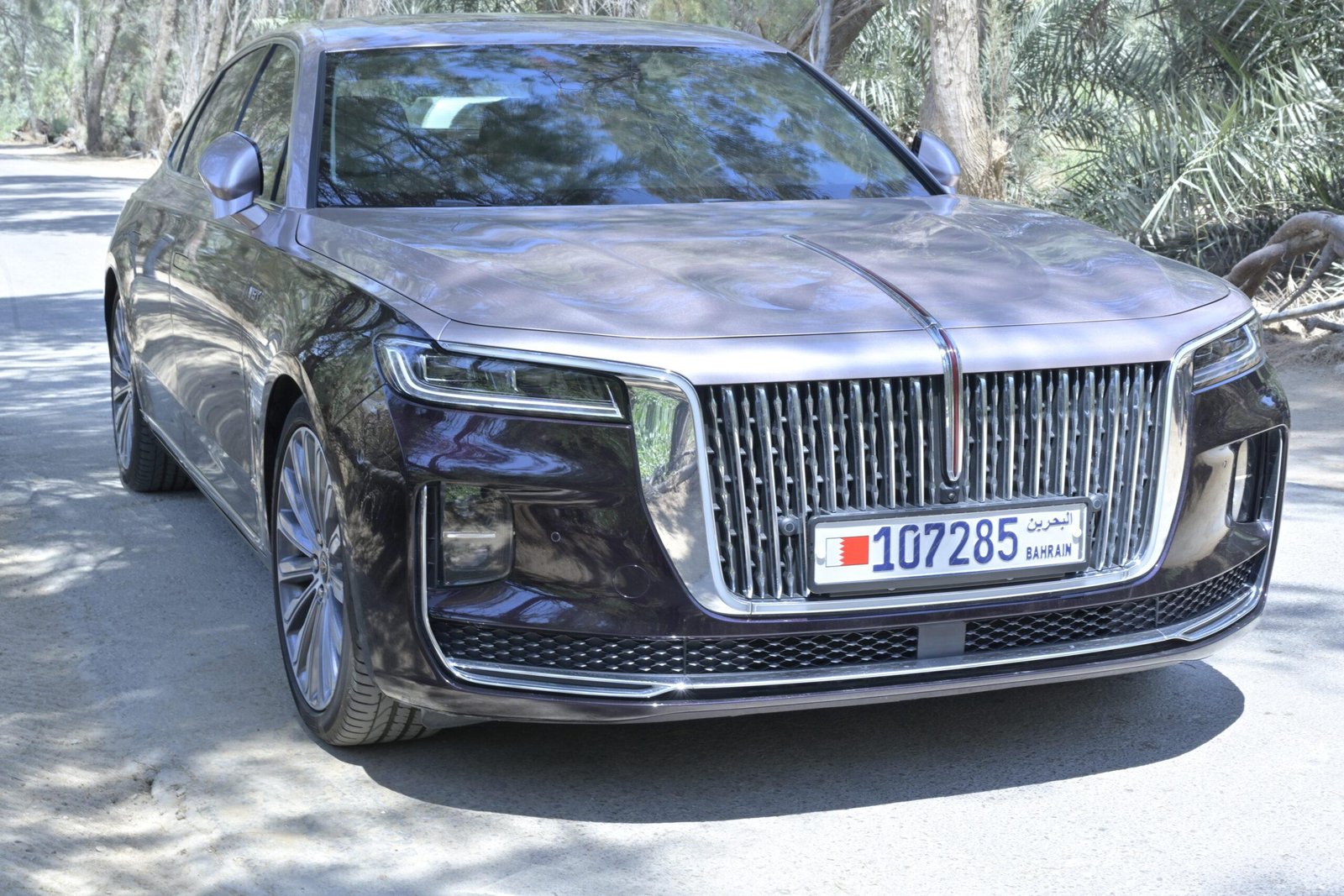 Unveiling the Hongqi H9: A Luxurious Marvel Redefining the Automotive ...